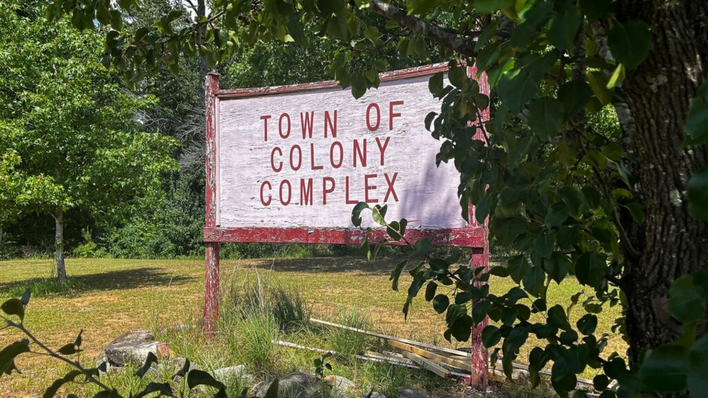 The Story of ‘the Colony’: How a Small, Black Community Thrived ...